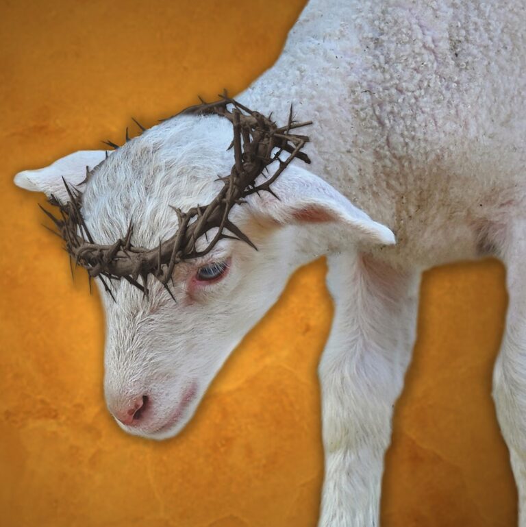 By the Blood of the Lamb – St. Timothy Evangelical Lutheran Church in ...